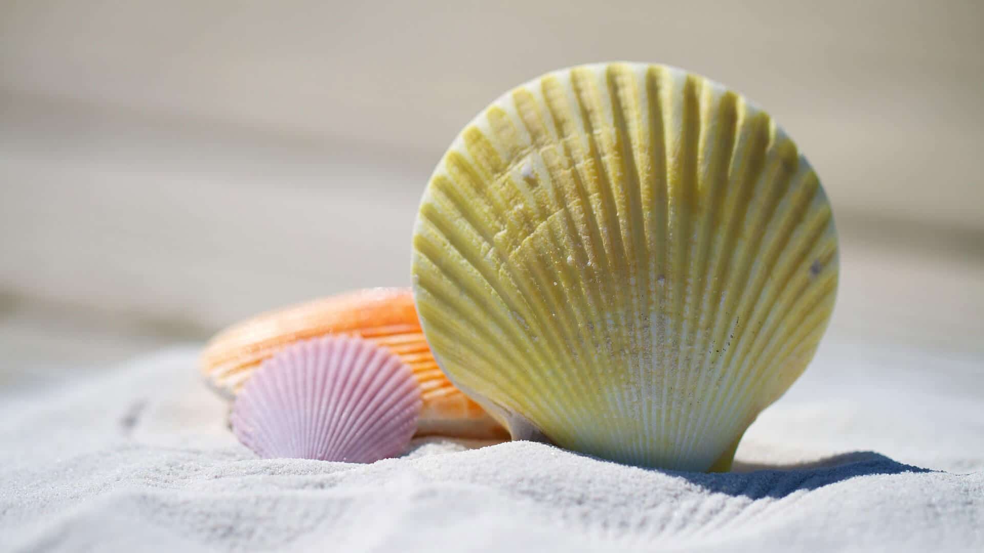 LavaShell-Massage - Joanna Leitgeb